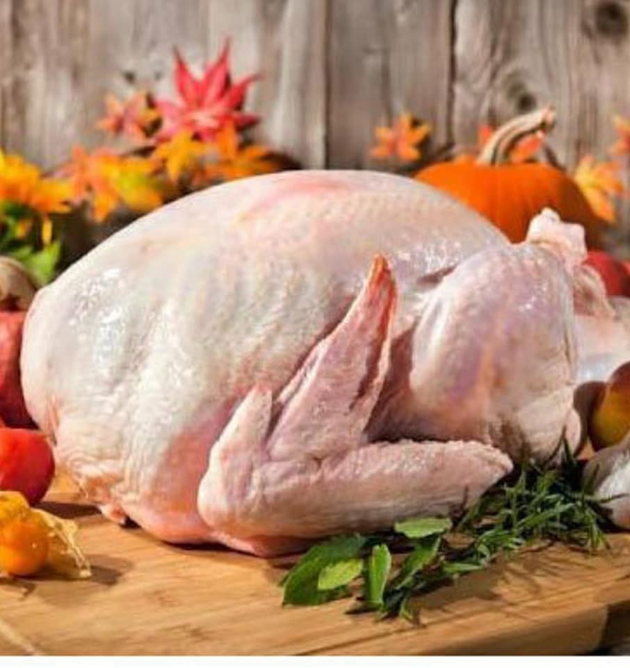 Turkey Meat – organic meat
