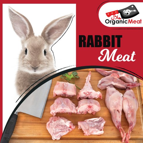 Rabbit Meat Halal Organic Meat Rabbit Meat Halal Organic Meat